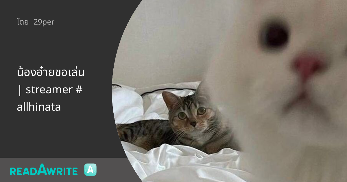 น้องอ๋ายขอเล่น | streamer #allhinata - 1 say meow meow : ฟิค Boy Love (แชท)
