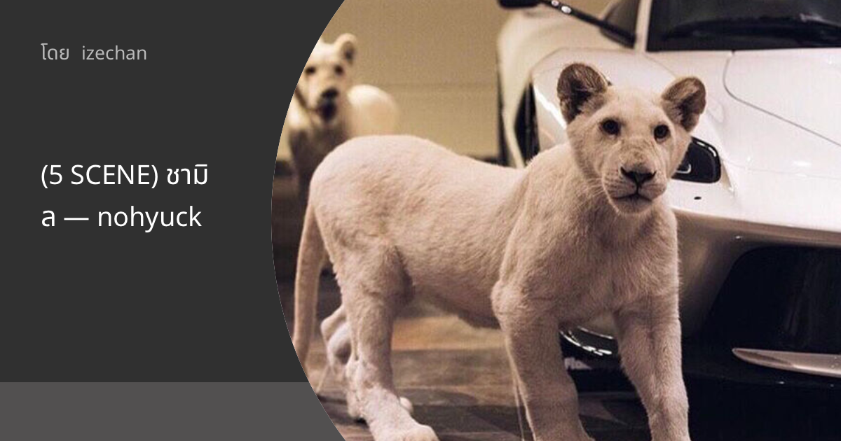 (5 SCENE) ชามิล — nohyuck: ฟิค Boy Love (บรรยาย)