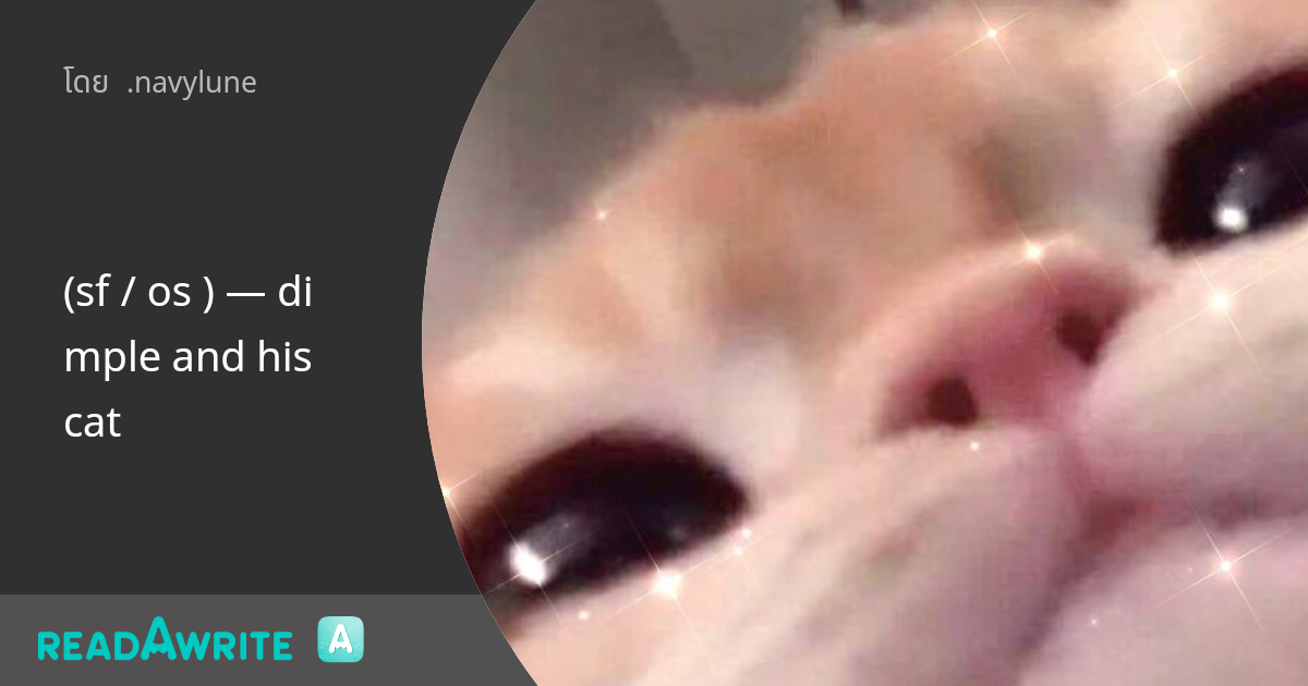 (sf / os ) — dimple and his cat - os ; make a wish : ฟิค Boy Love (แชท)