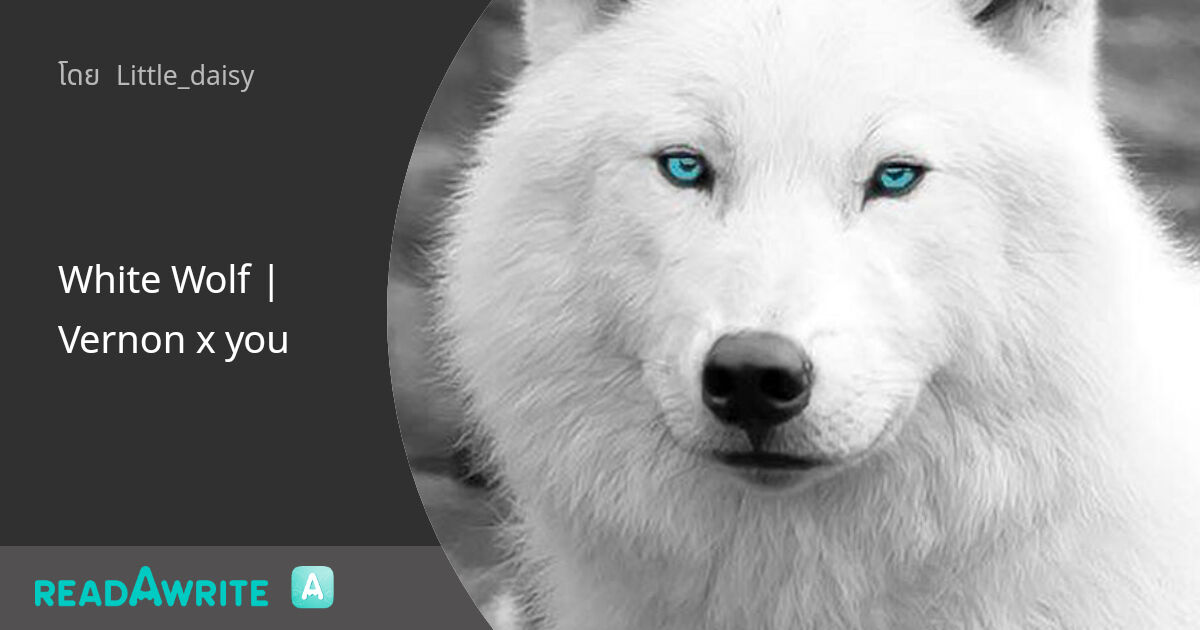 White Wolf | Vernon x you - White Wolf 05 : ฟิคฟรีสไตล์ (แชท)