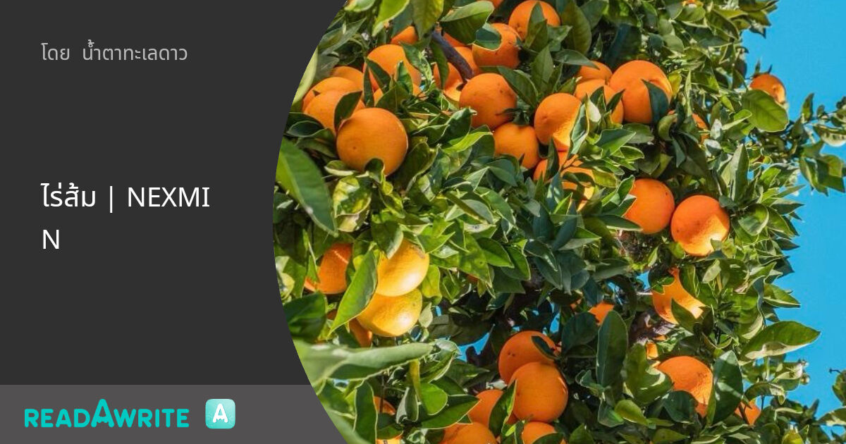 ไร่ส้ม | NEXMIN - 十三☆ : ฟิค Boy Love (แชท)
