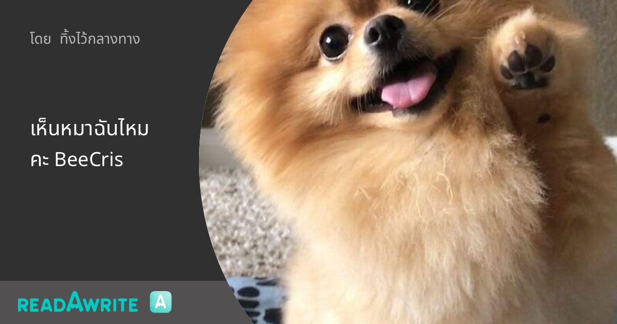 เห็นหมาฉันไหมคะ BeeCris - 2 : ฟิค Girl Love (แชท)