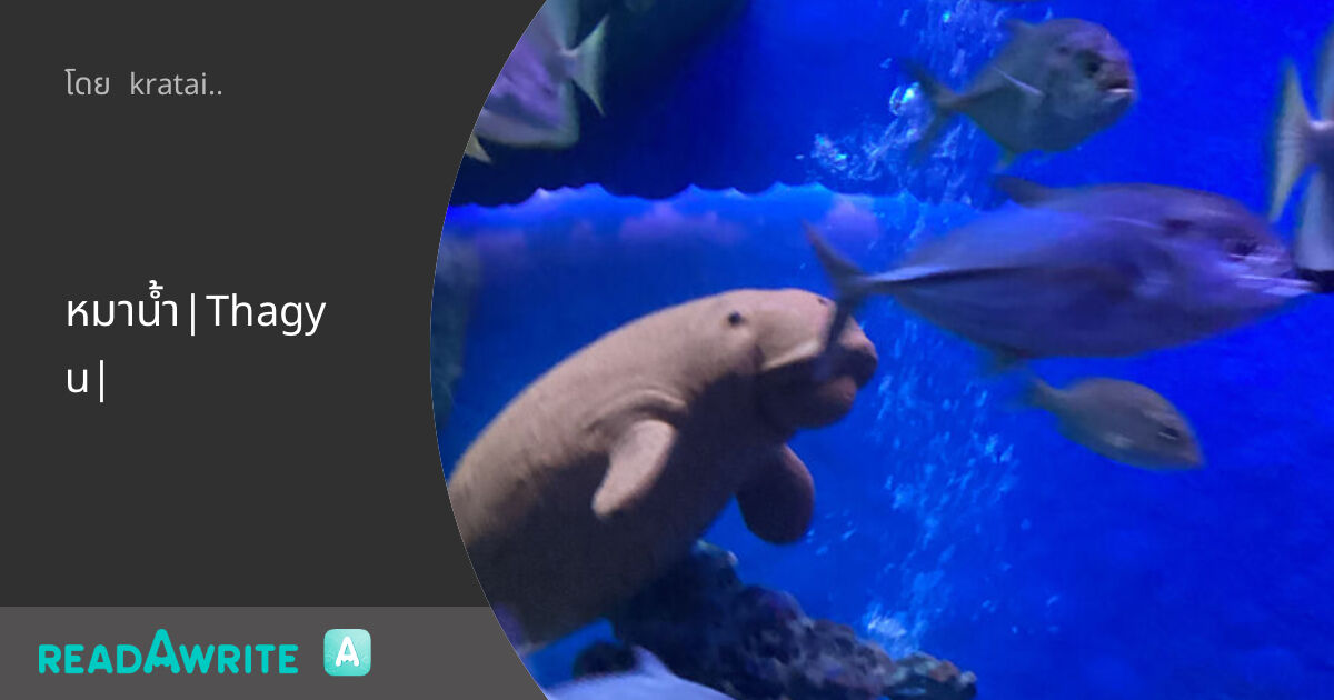 หมาน้ำ|Thagyu|: ฟิค Boy Love (แชท)