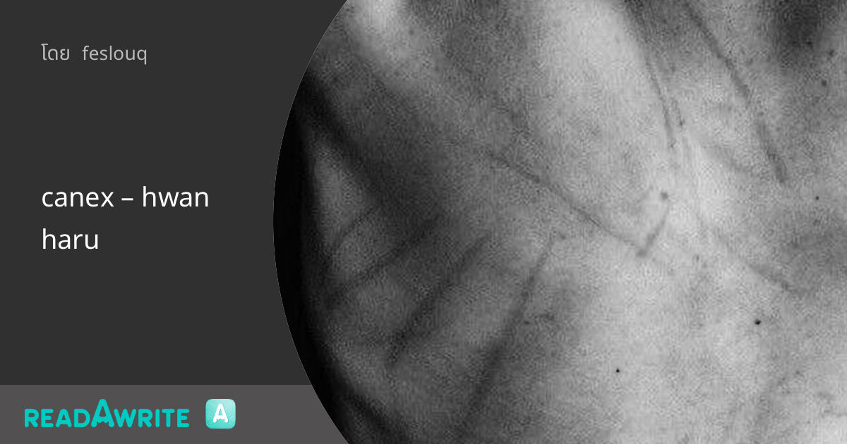 canex – hwanharu: ฟิคฟรีสไตล์ (แชท)