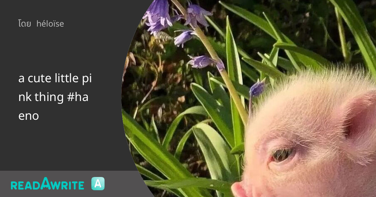 a cute little pink thing #haeno - ลูกหมูสีชมพูของพี่ : ฟิค Boy Love (แชท)