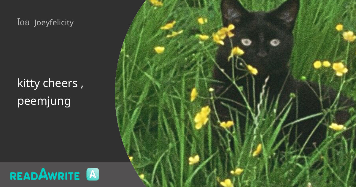 kitty cheers ,peemjung: ฟิค Boy Love (แชท)