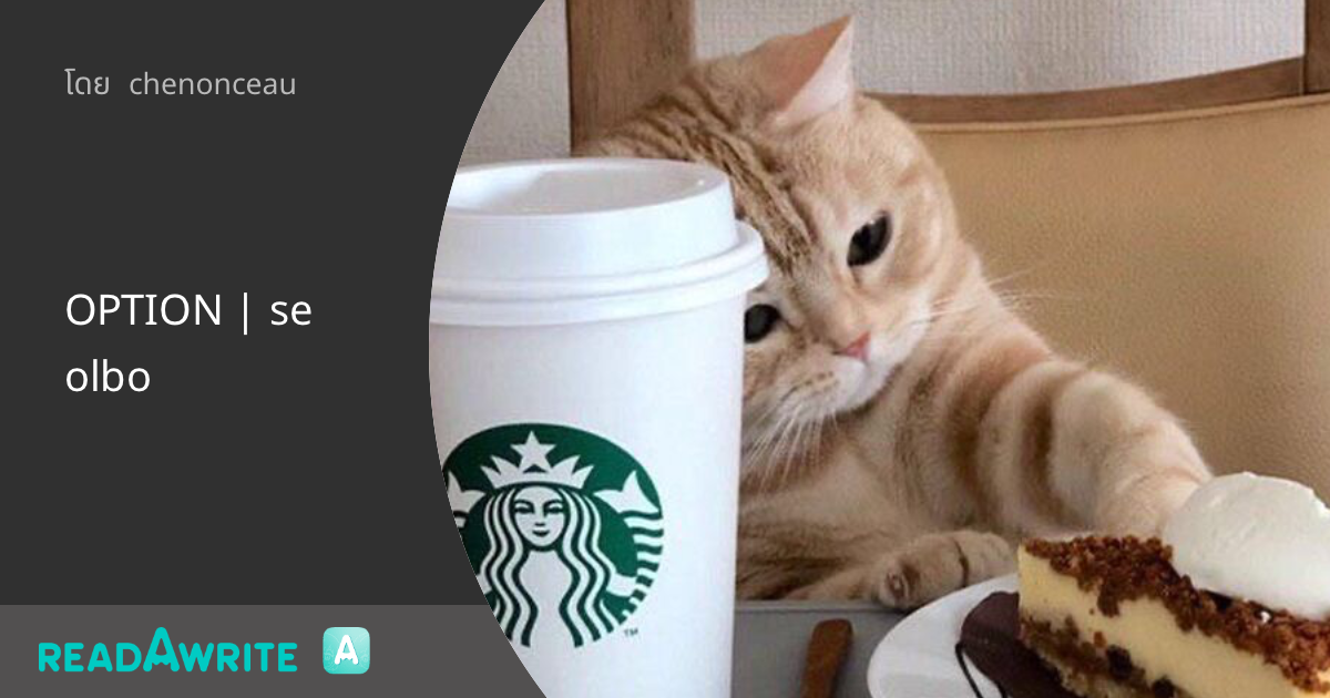 OPTION | seolbo: ฟิค Girl Love (แชท)