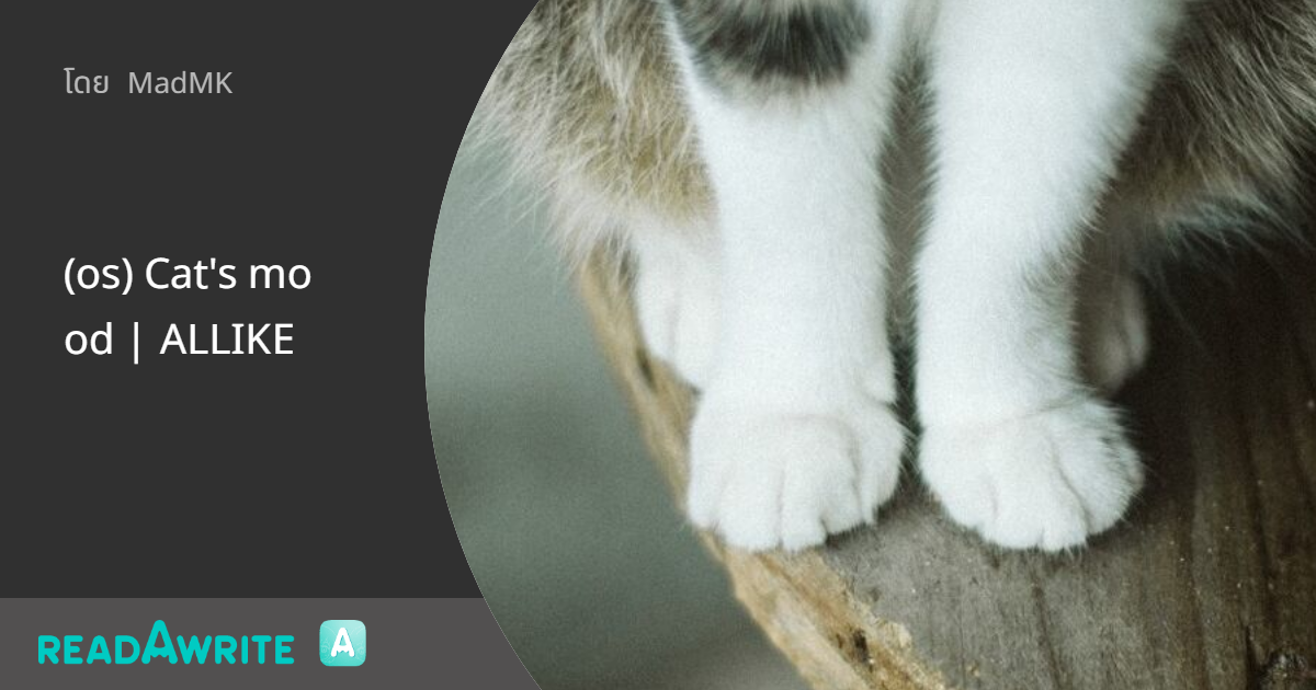 (os) Cat's mood | ALLIKE - voxike | 🔞 the angry cat : ฟิค Boy Love (แชท)