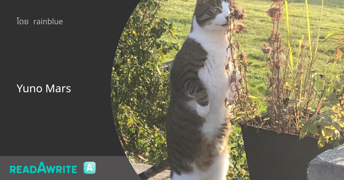 Yuno Mars - หก : ฟิค Girl Love (แชท)