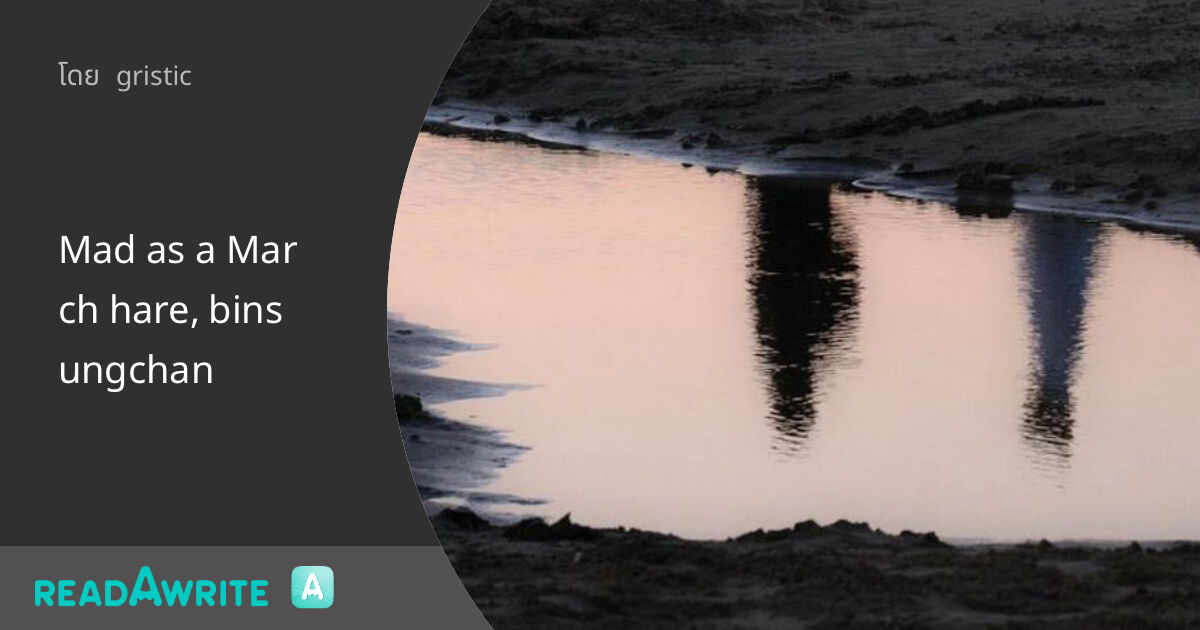 Mad as a March hare, binsungchan: ฟิค Boy Love (แชท)