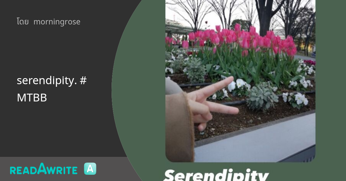 serendipity. #MTBB - 12