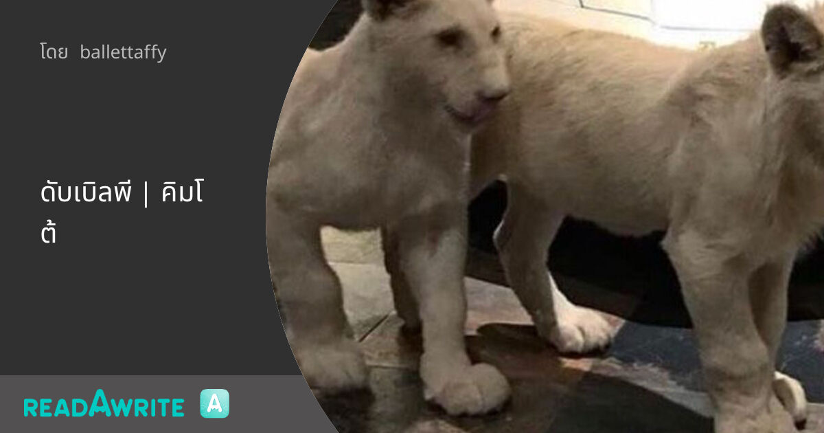 ดับเบิลพี | คิมโต้: ฟิค Boy Love (แชท)