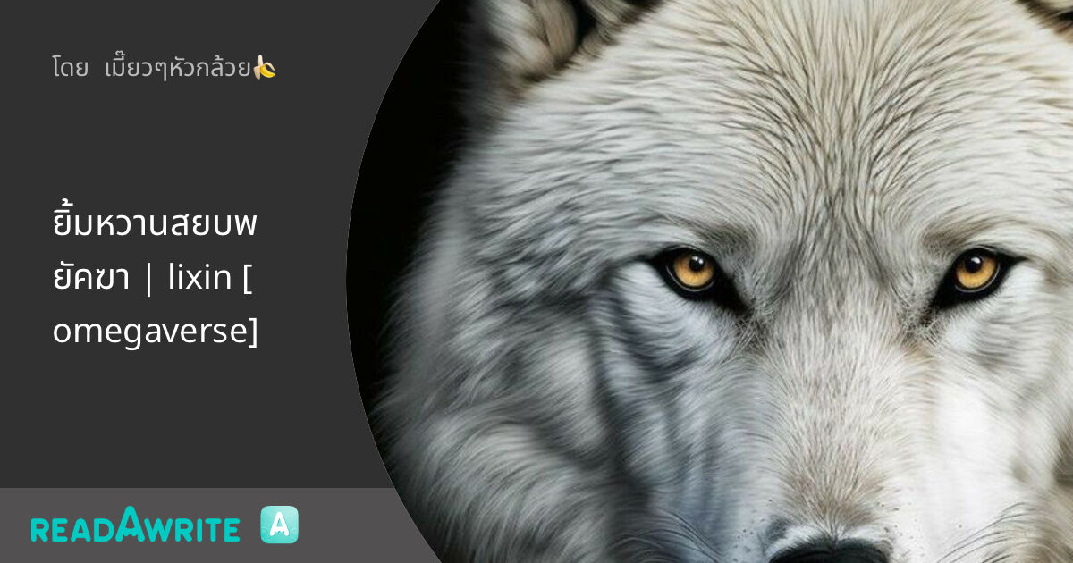ยิ้มหวานสยบพยัคฆา | lixin [omegaverse]: ฟิค Boy Love (แชท)