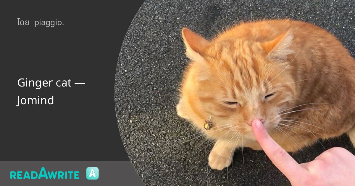 Ginger cat — Jomind: ฟิค Girl Love (แชท)