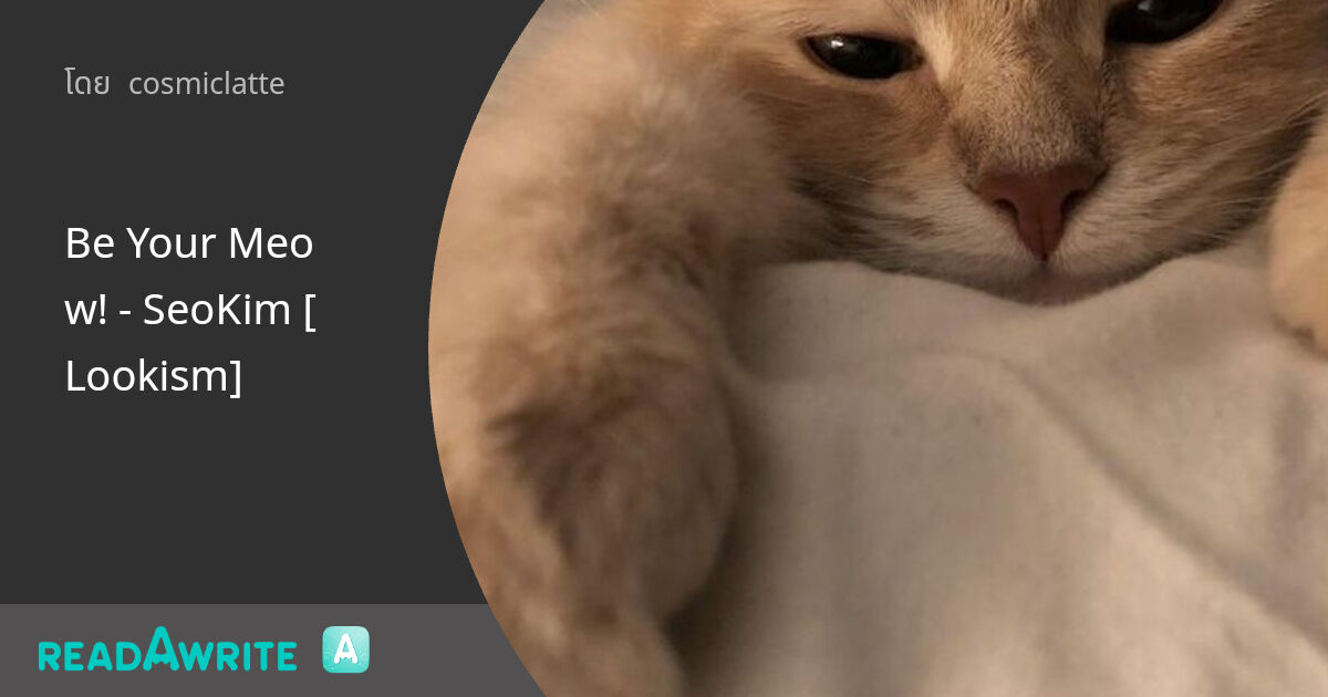 Be Your Meow! - SeoKim [Lookism] - 4th Meow : ฟิค Boy Love (แชท)